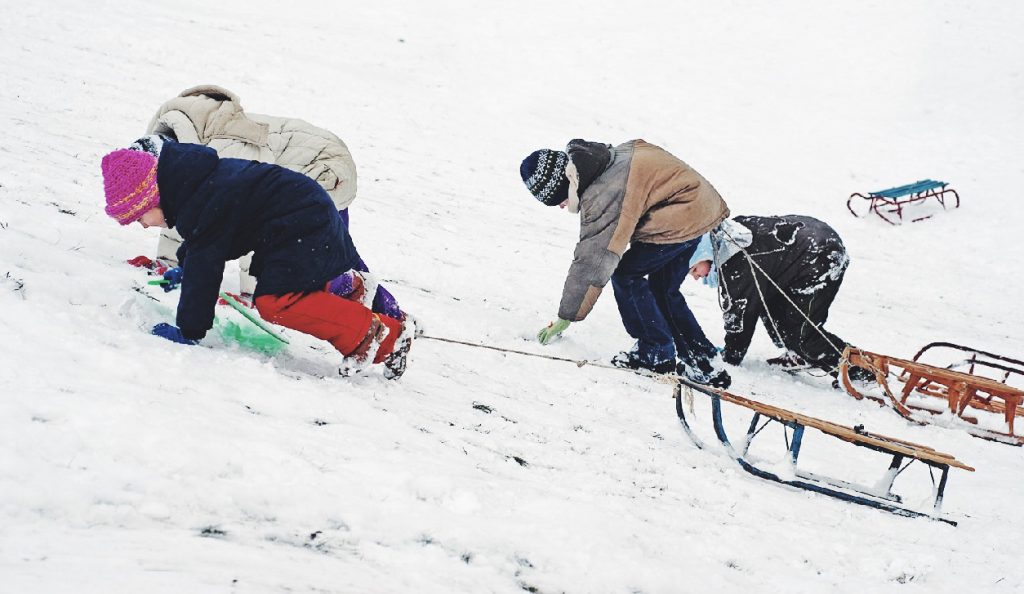 Best wooden sledges – Charlie Caffyn Furniture